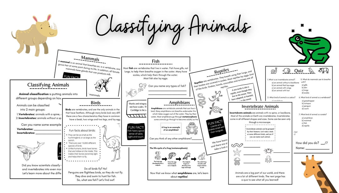 Classifying Animals, Science Worksheet, Grades up to 5th, Quiz Included ...