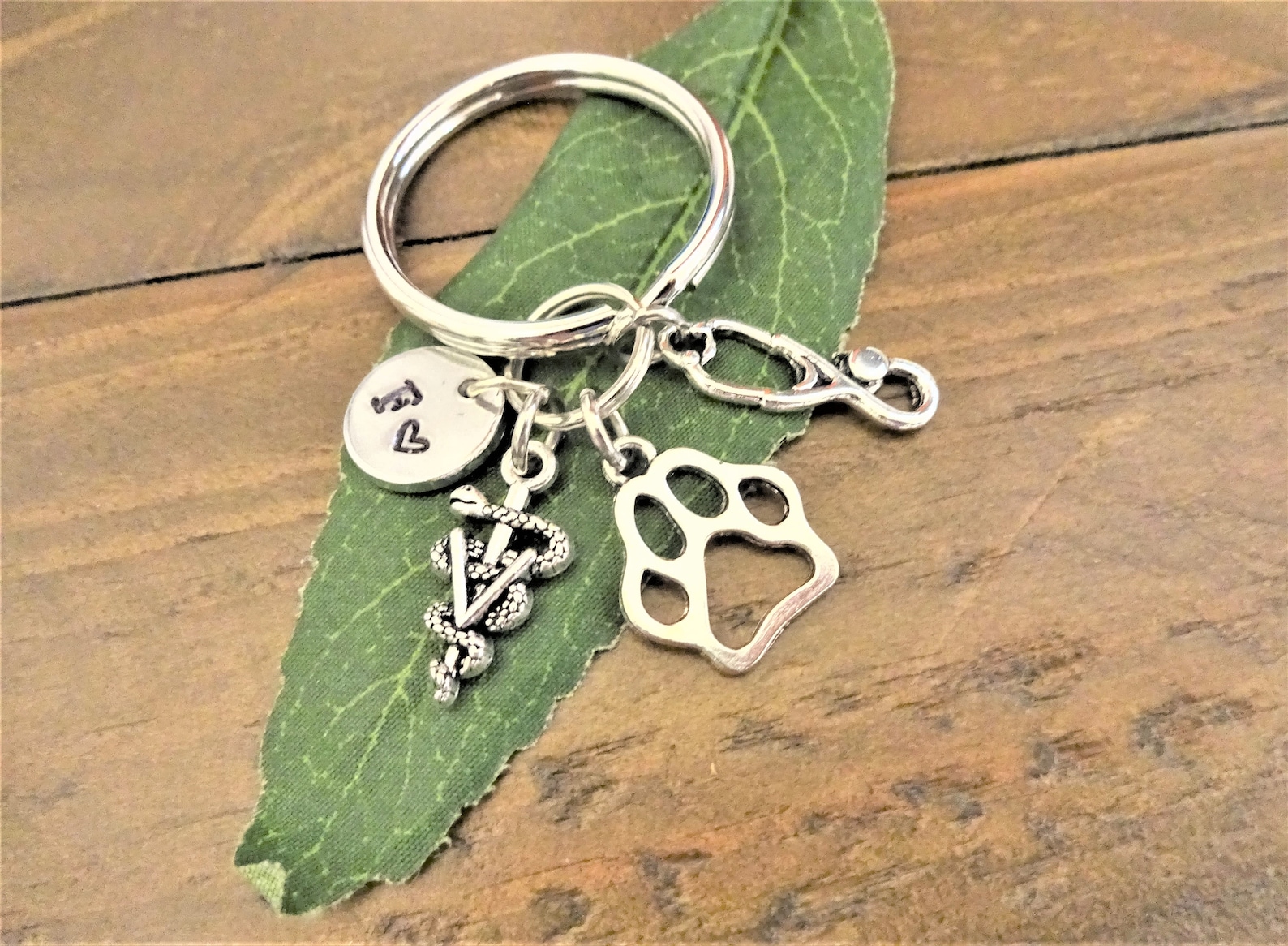VETERINARIAN VET KEYCHAIN Paw & Stethoscope Personalized With - Etsy