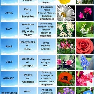 Stainless Steel JULY BIRTH MONTH Flower Necklace Water Lily, July ...