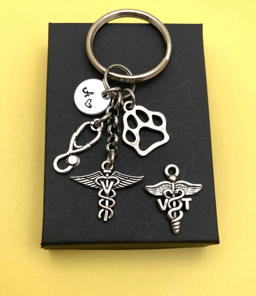 VETERINARIAN KEYCHAIN - Choose Vet (V) or Vet Tech (VT) With Paw ...