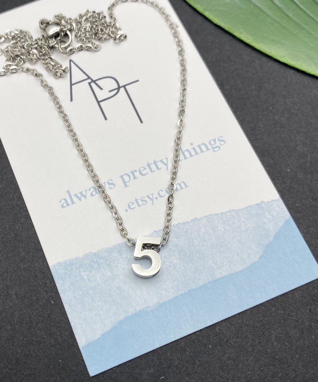 Stainless Steel Small Number 5 on a Stainless Steel Chain - 8mm Small ...