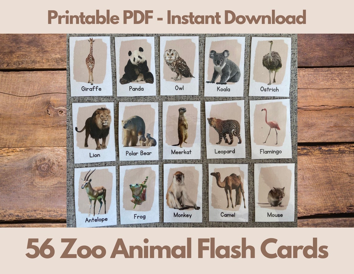 Zoo Animal Flash Card Set, Montessori Learning, Homeschool Materials ...