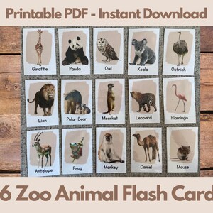 Zoo Animal Flash Card Set, Montessori Learning, Homeschool Materials ...