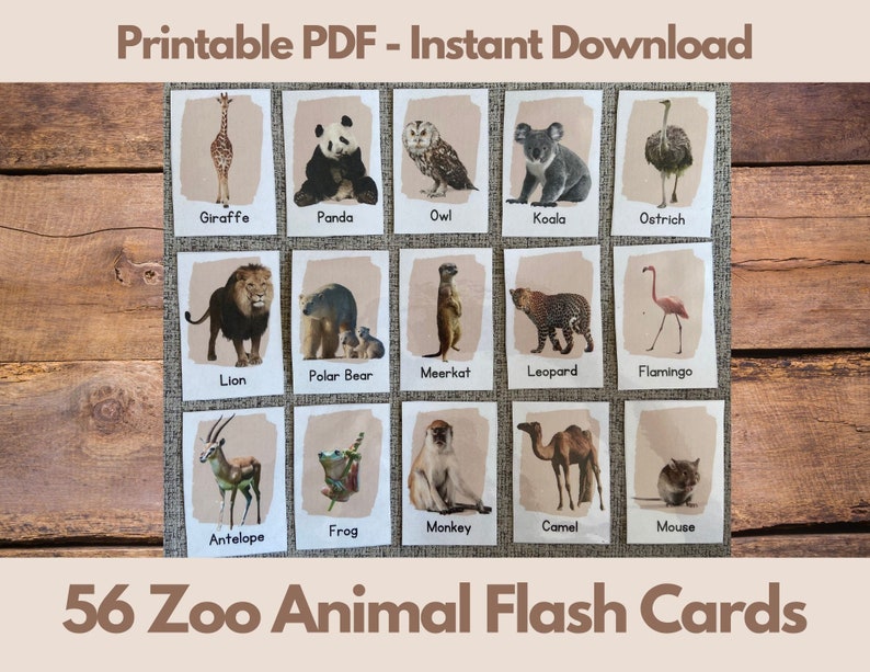Zoo Animal Flash Card Set, Montessori Learning, Homeschool Materials ...