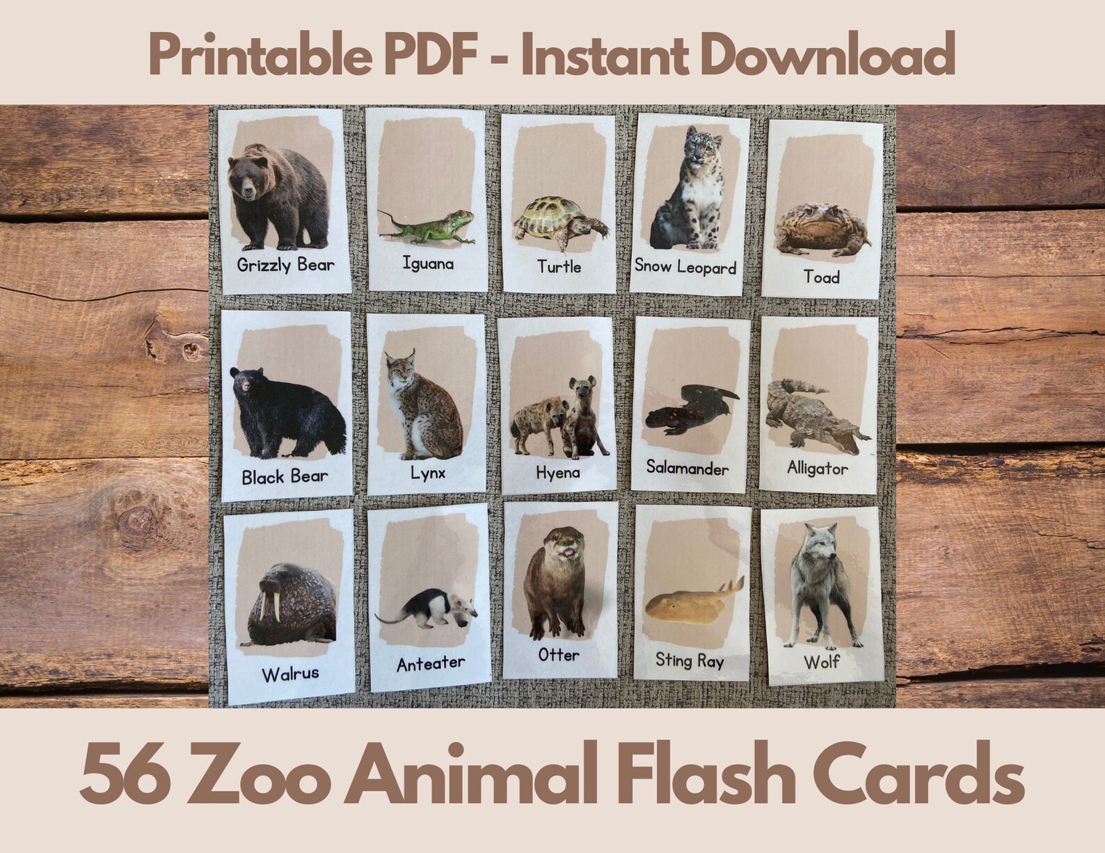 Zoo Animal Flash Card Set, Montessori Learning, Homeschool Materials ...