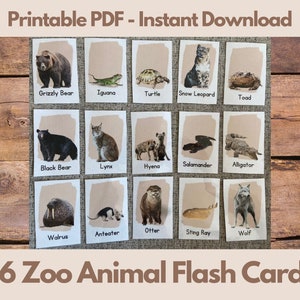 Zoo Animal Flash Card Set, Montessori Learning, Homeschool Materials ...