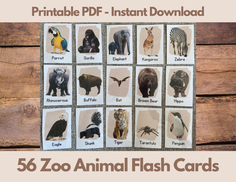 Zoo Animal Flash Card Set, Montessori Learning, Homeschool Materials ...
