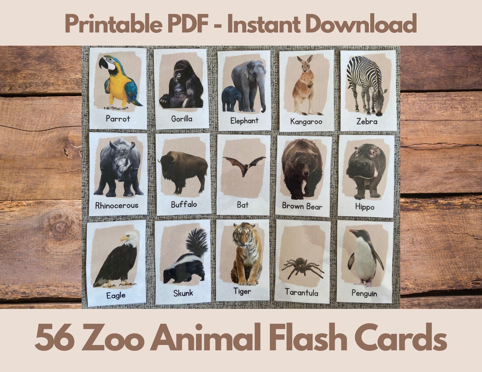 Zoo Animal Flash Card Set, Montessori Learning, Homeschool Materials ...