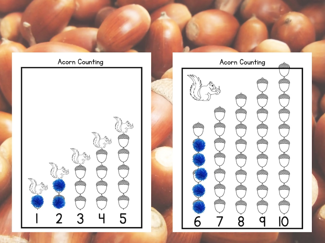 Pom Pom Activities, Counting, Number Activities, Fine Motor Skills ...