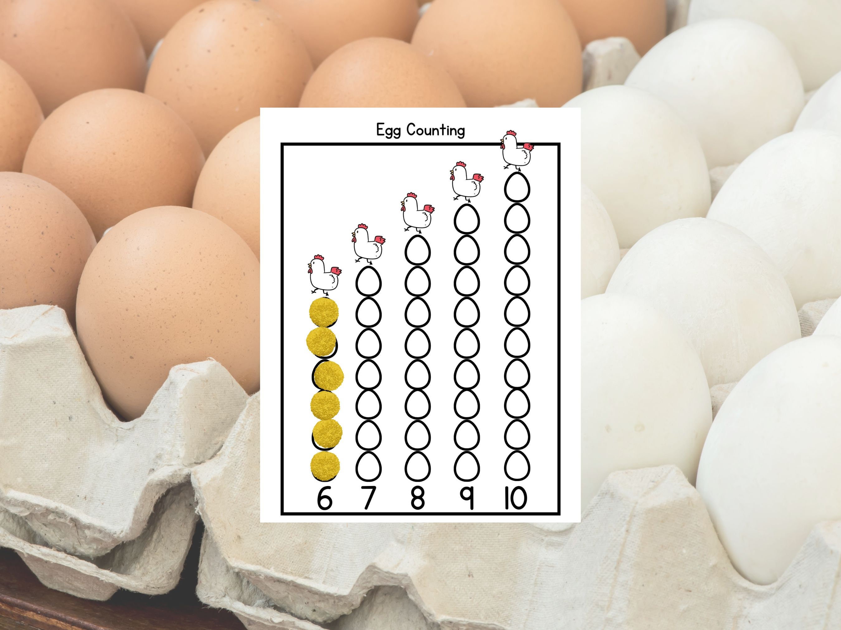 Pom Pom Activities, Counting, Number Activities, Fine Motor Skills ...