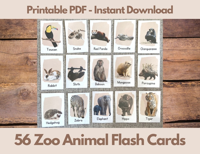 Zoo Animal Flash Card Set, Montessori Learning, Homeschool Materials ...