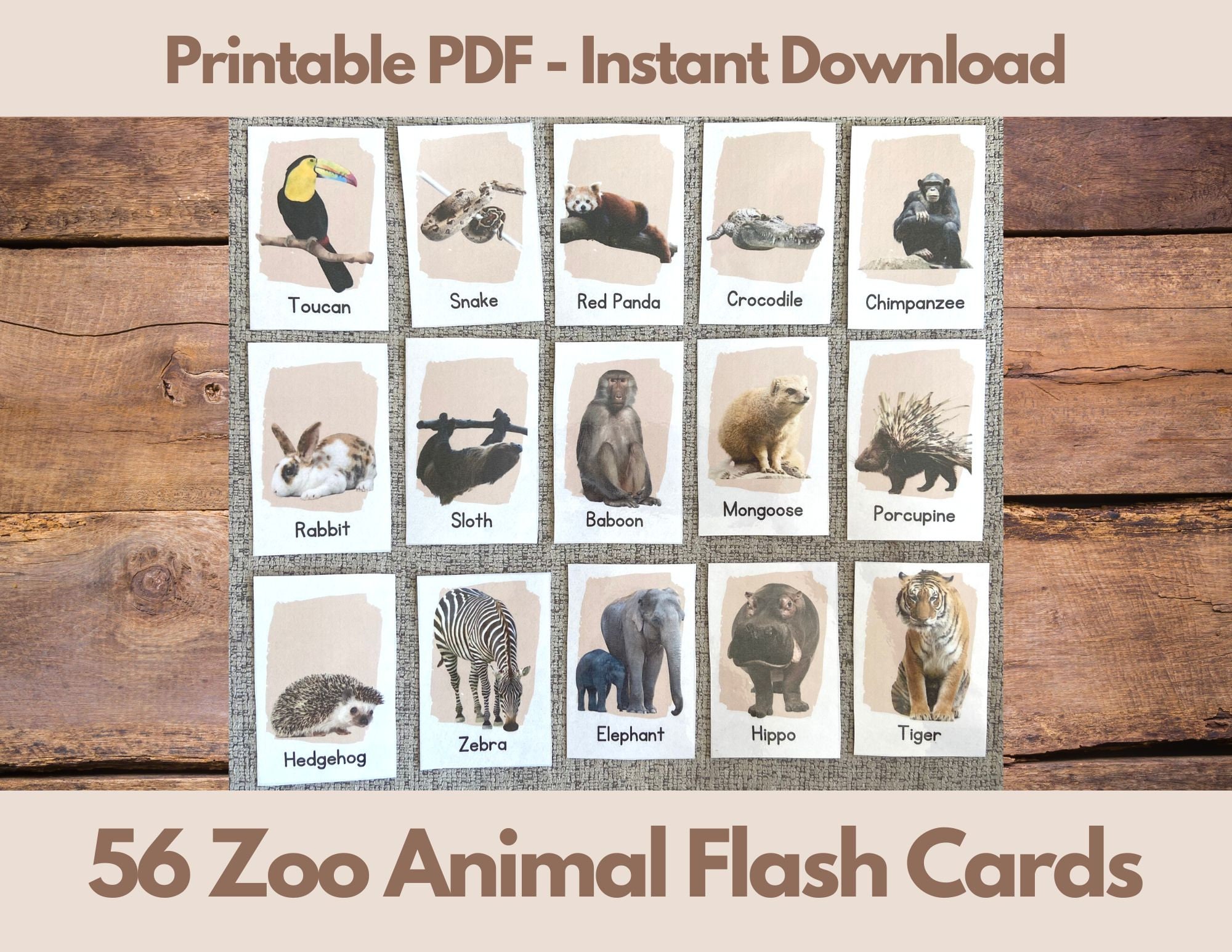 Zoo Animal Flash Card Set, Montessori Learning, Homeschool Materials ...