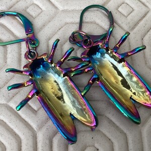 Rainbow Ion Plated Cicada Bug Rainbow Jewellery Inspired by Art Nouveau ...