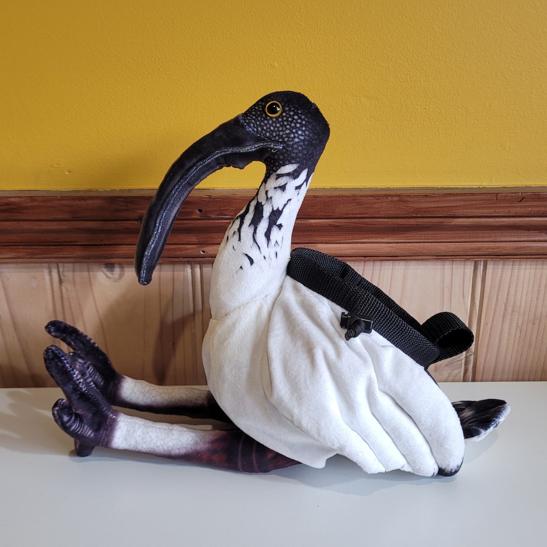 Australian Ibis "bin Chicken" Rock Climbing Chalk Bag - Etsy