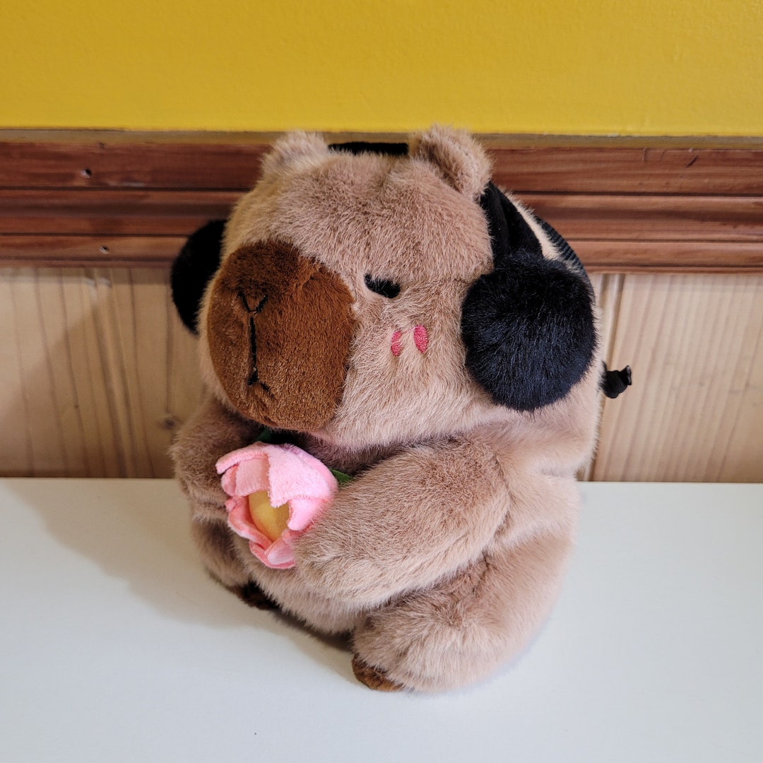 Capybara With Headphones Rock Climbing Chalk Bag - Etsy