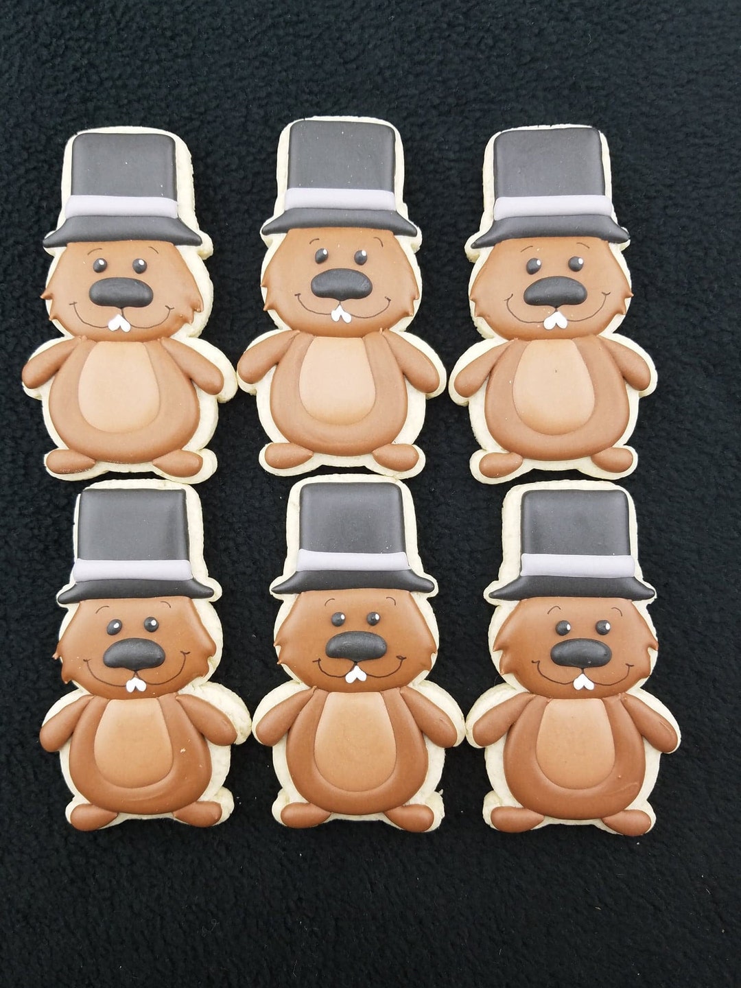 Groundhog Day Decorated Sugar Cookies - Groundhogs Day Party Favor ...