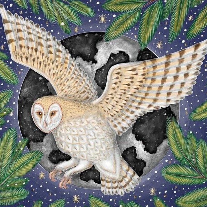 Owl Christmas Card - Etsy