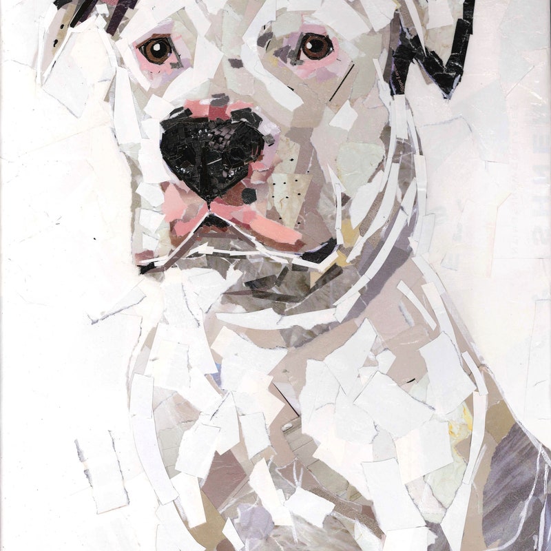 Dog Collage Portrait - Etsy