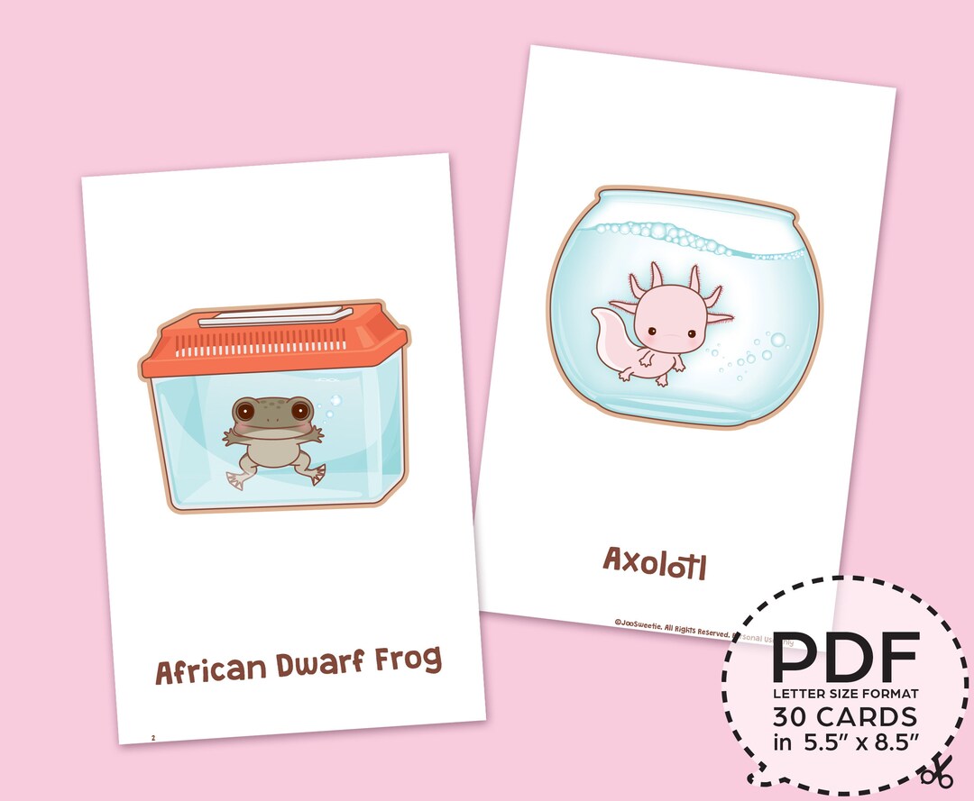 Pet Shop Bingo Large Pull Cardsprintable PDF Download - Etsy