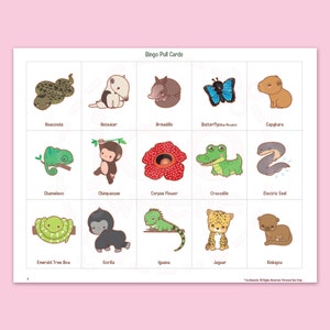 Rainforest Jungle Bingo Game Kitprintable PDF Download - Etsy