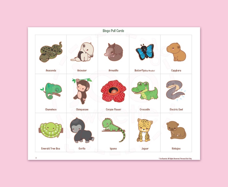 Rainforest Jungle Bingo Game Kitprintable PDF Download - Etsy