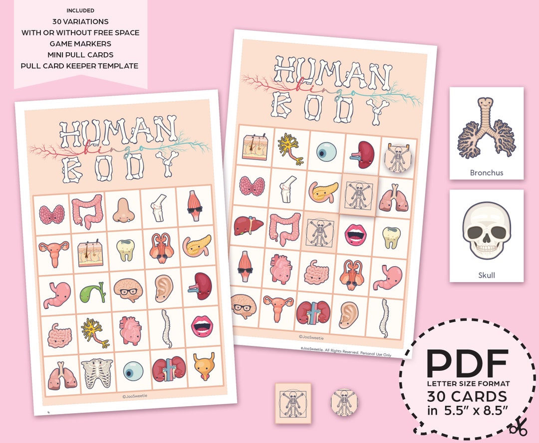 Human Body Bingo Game Kitprintable PDF Download - Etsy UK