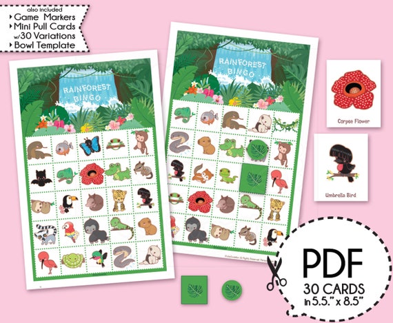 Rainforest Jungle Bingo Game Kitprintable PDF Download - Etsy