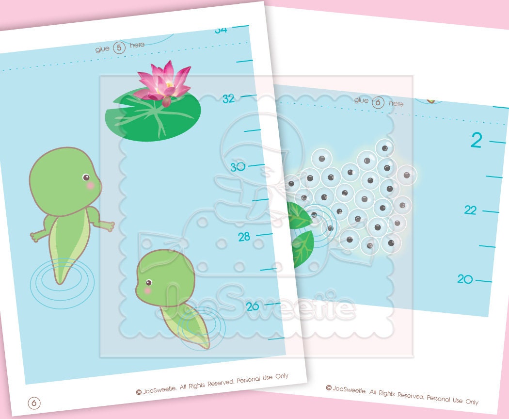 Frog Life Cycle Growth Chart-printable PDF Download | Etsy