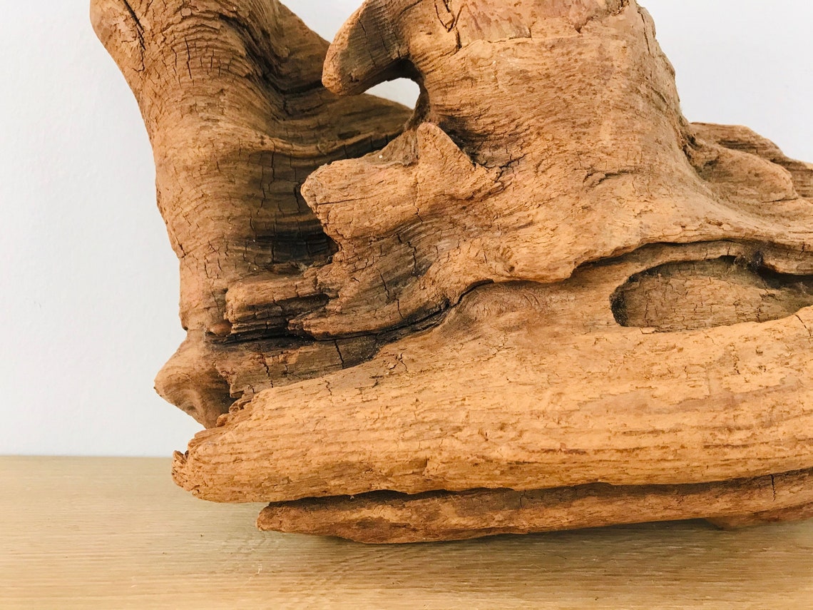 Vintage Natural Wood Display for Air Plants - Etsy