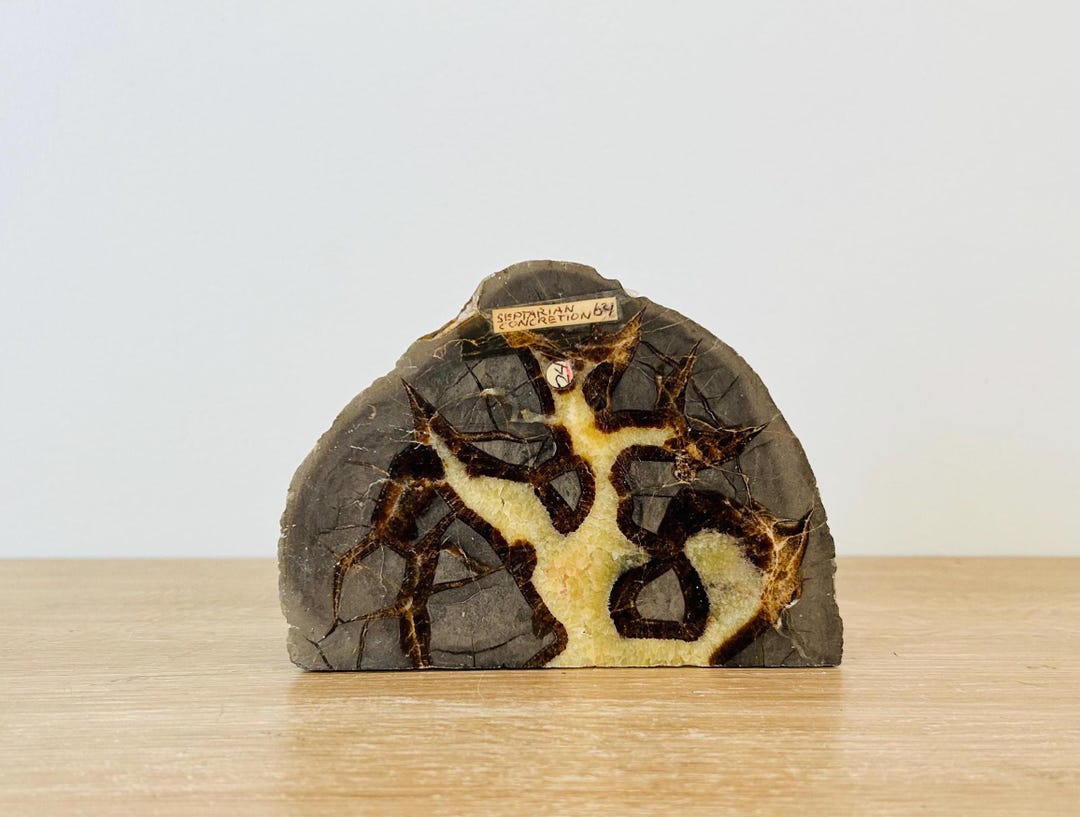 Vintage Septarian Concretion Geode Rock Display - as is Condition - Etsy