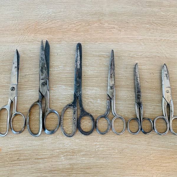 Griffon Scissors - Etsy