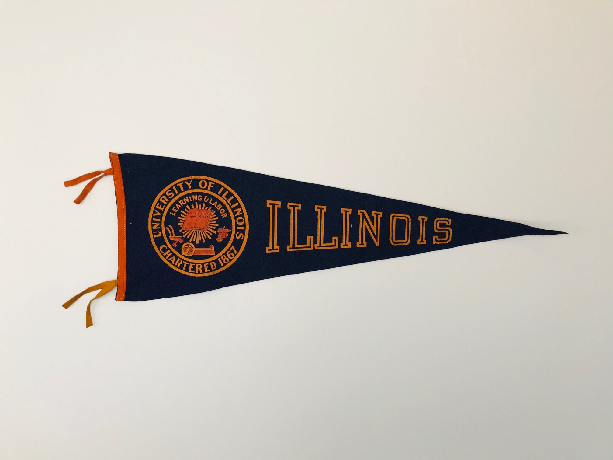 University Of Illinois Logo 1867