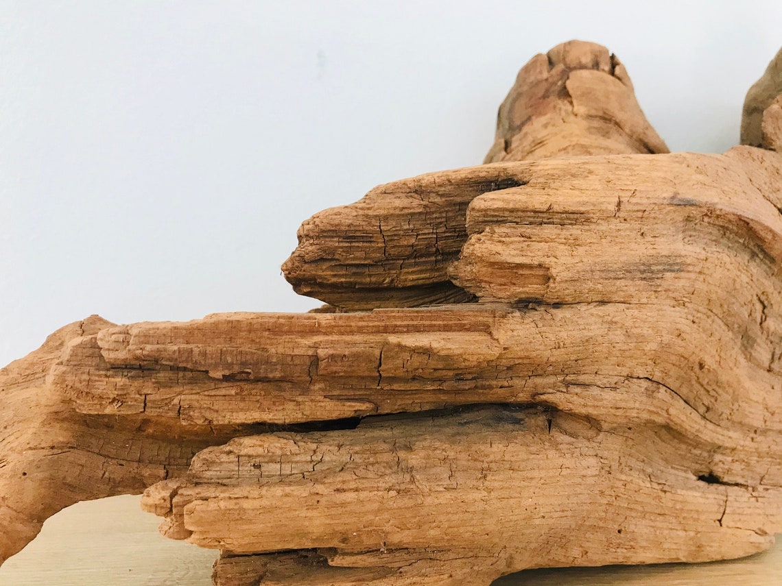 Vintage Natural Wood Display for Air Plants - Etsy