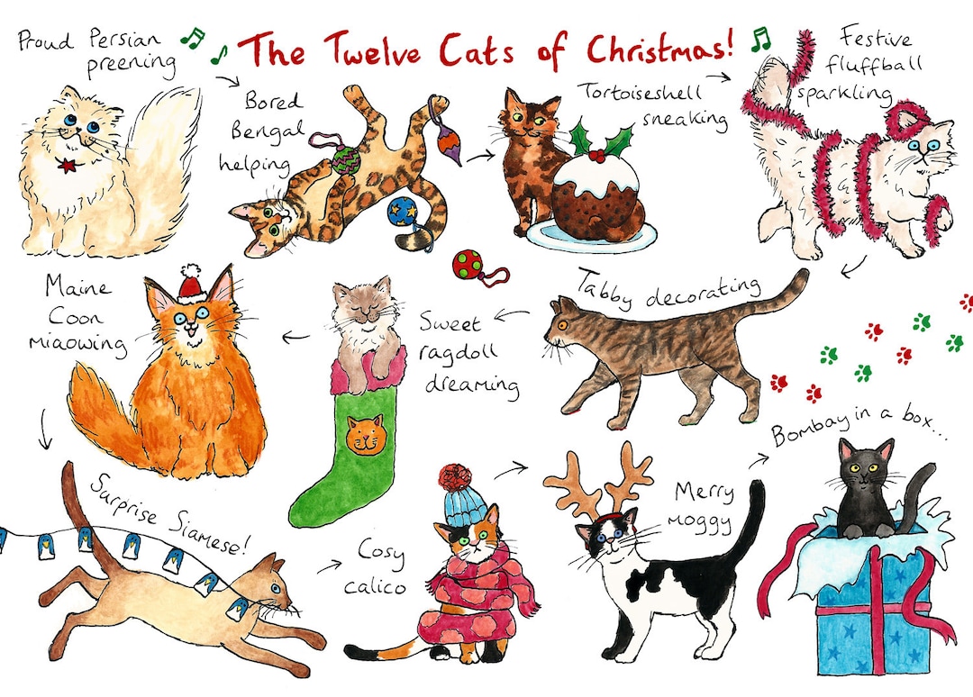 The Twelve Cats of Christmas... A Christmas Card for Cat Lovers! - Etsy