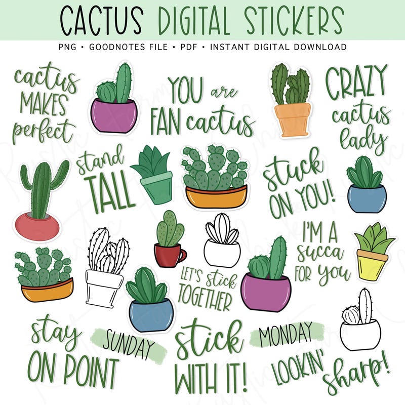 Cactus Stickers - Etsy