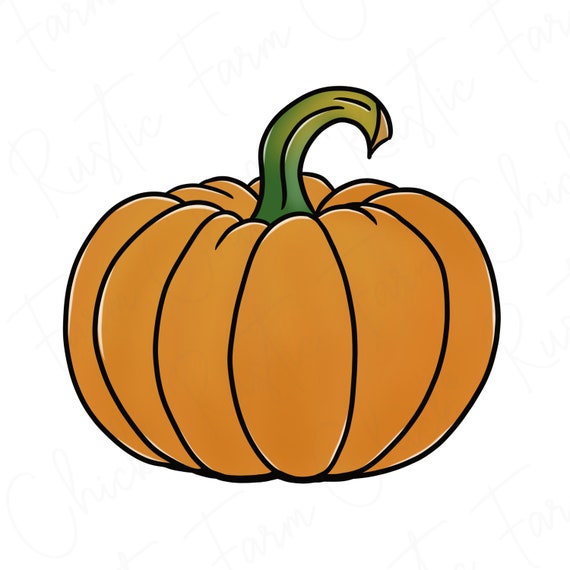 Squash Clipart