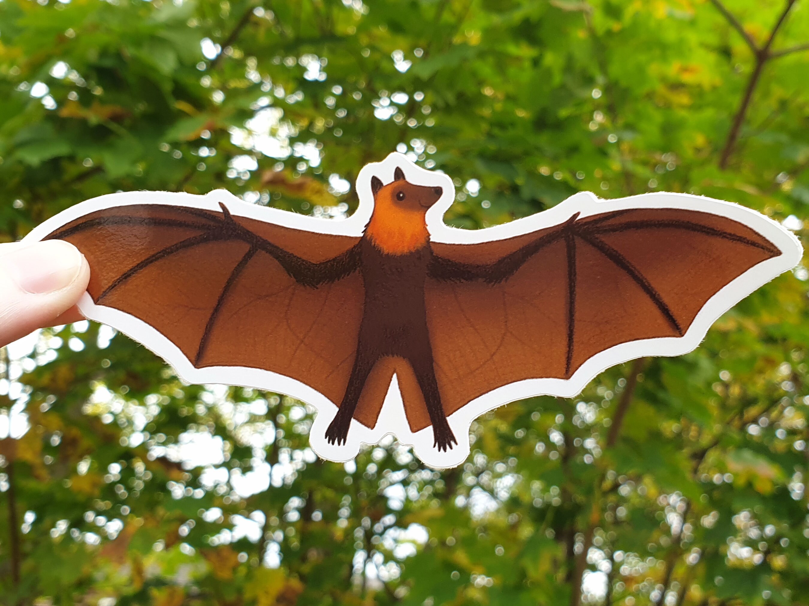 Shop — Emma Reynolds