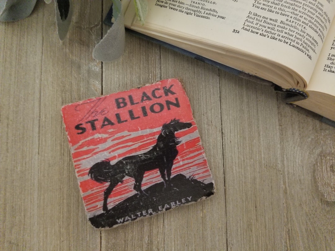 The Black Stallion Book Coaster | Horse Lover, Horse Girl, Literary ...