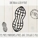 Peanut Outline SVG, PNG, DXF, Studio 3, Mirrored Png Files, Instant ...
