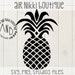 Pineapple SVG, PNG, DXF, Studio 3 Files, Instant Download - Etsy
