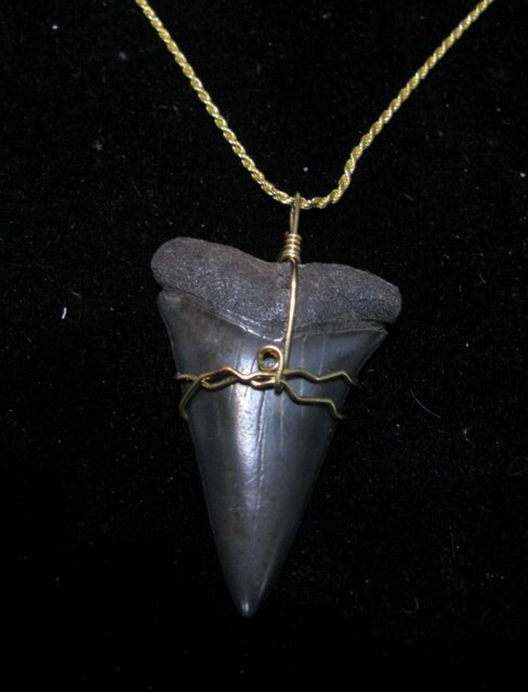 Perfect 2.03" Mako Shark Tooth on Gold Rope Chain - Etsy