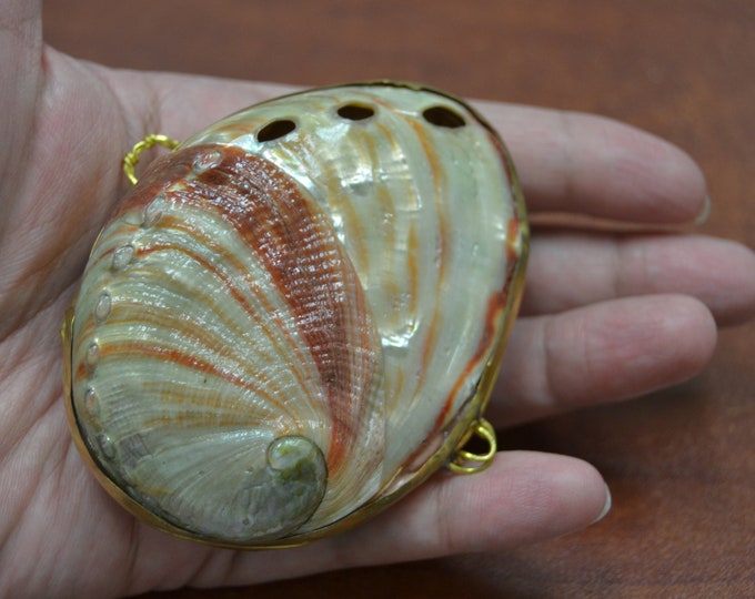 Red ABALONE Shell TRINKET Box Coin Purse - Etsy