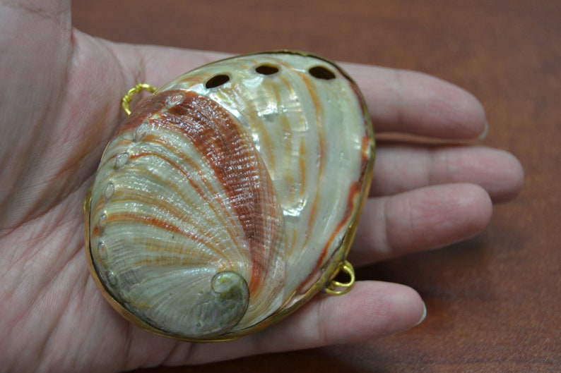 Red ABALONE Shell TRINKET Box Coin Purse | Etsy