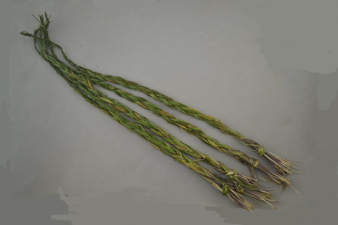 Organic Native American SWEETGRASS BRAID Herb Incense 20-25" - Etsy