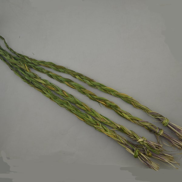 Sweetgrass Braid - Etsy