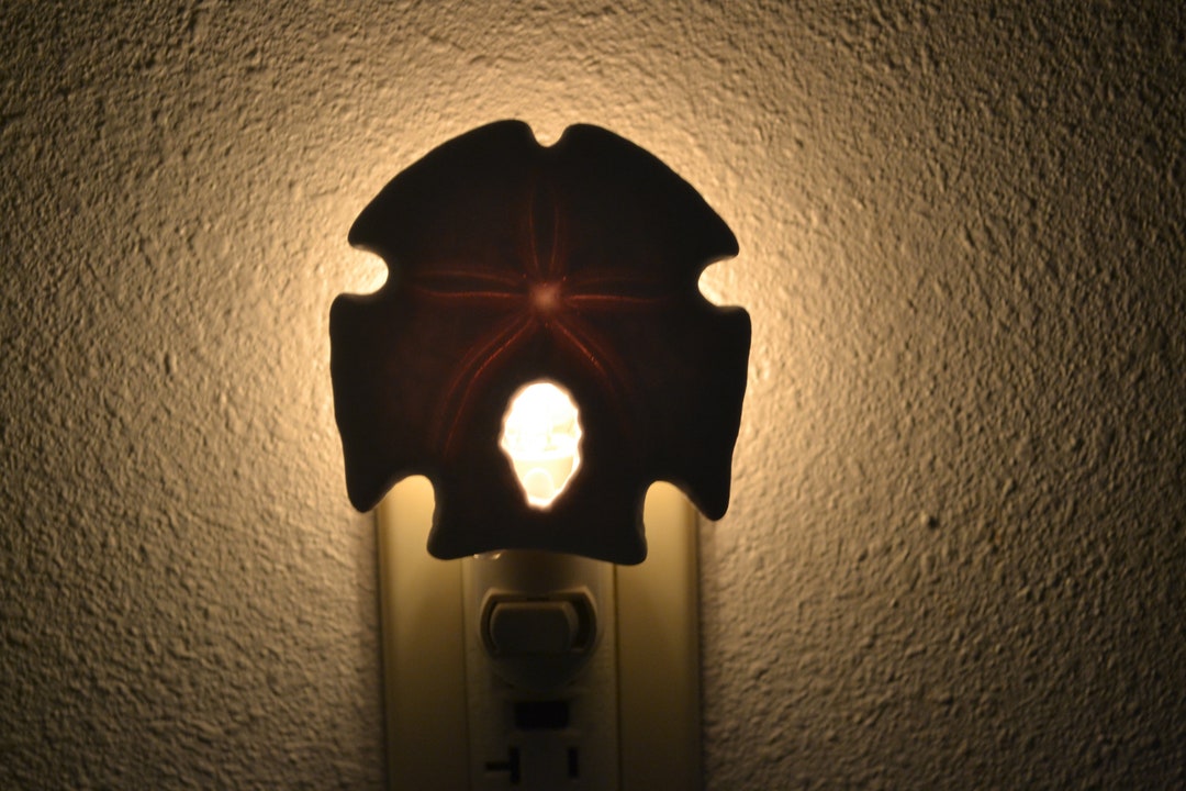 White ARROWHEAD SAND DOLLAR Sea Shell Nightlight - Etsy