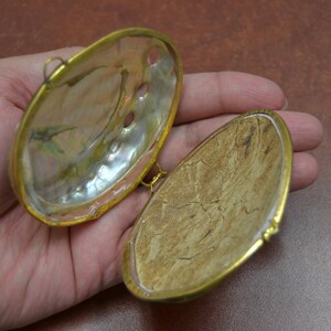 Red ABALONE Shell TRINKET Box Coin Purse - Etsy