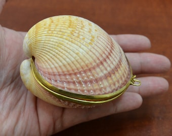 Shell Coin Purse | Etsy