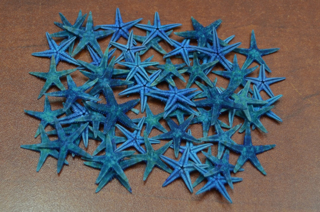 90 Pcs SMALL BLUE STARFISH Star Sea Shell 3/4" - 1" - Etsy