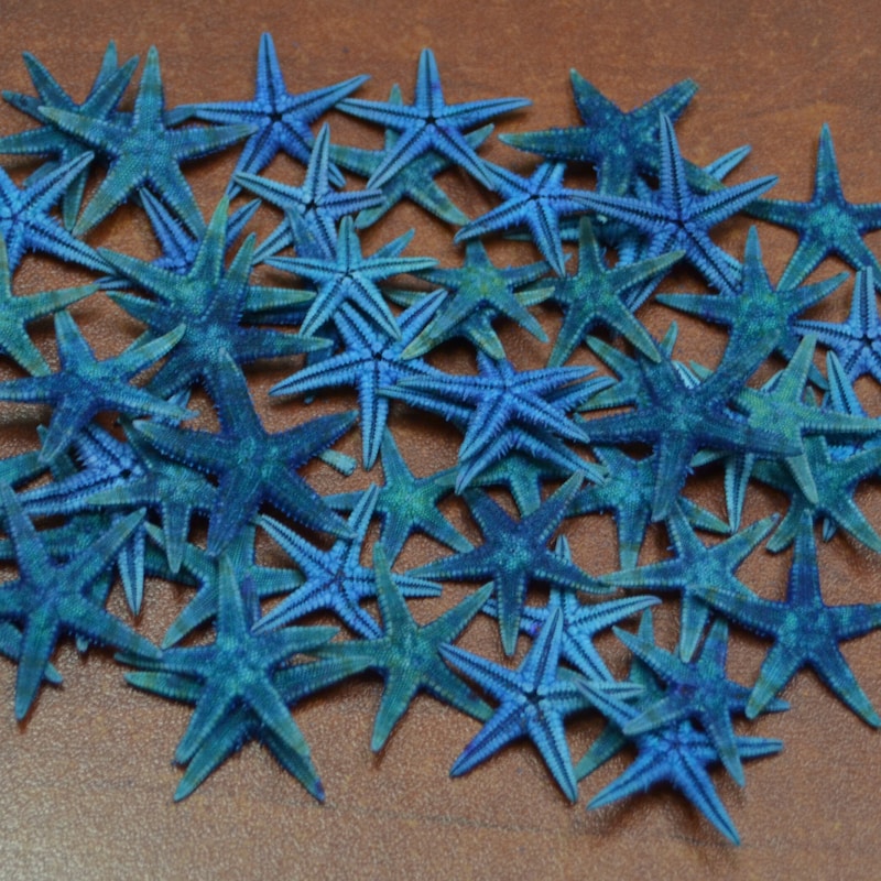 Starfish Decorations - Etsy